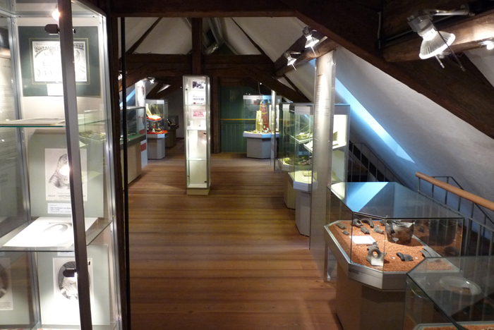 Schloss Traun, 4050 Traun - Information, Anfahrt, Öffnungszeiten ...